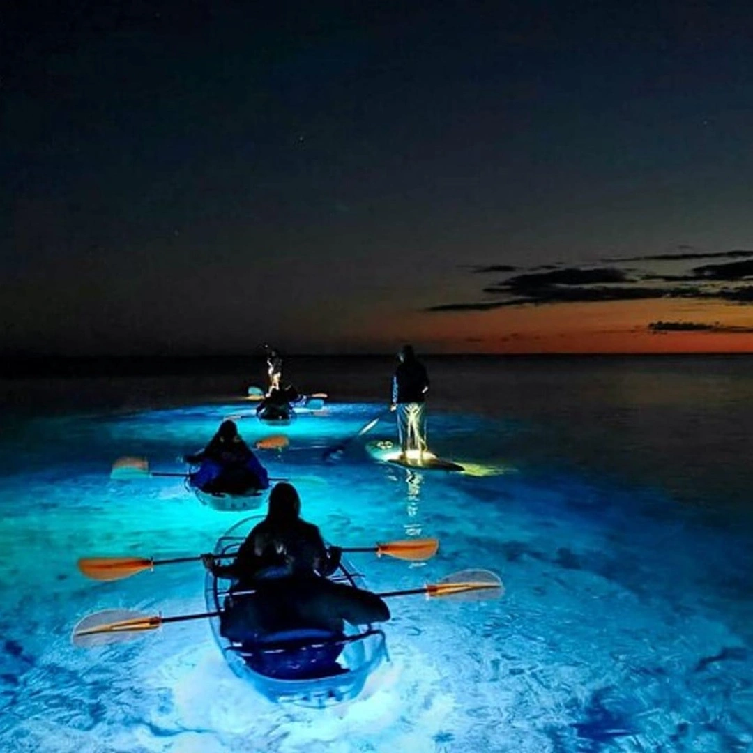 Where to Go for Bioluminescent Night Kayaking: Best Spots Revealed ...