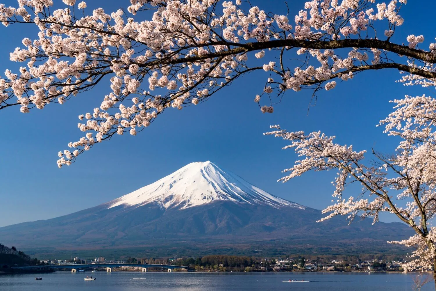 Volcano Camping - Tips and Top Destinations - DayTripto Travel Blog